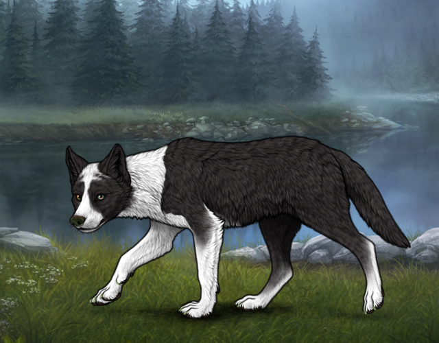 Chromium 5M(3 rare) |:| Wolvden