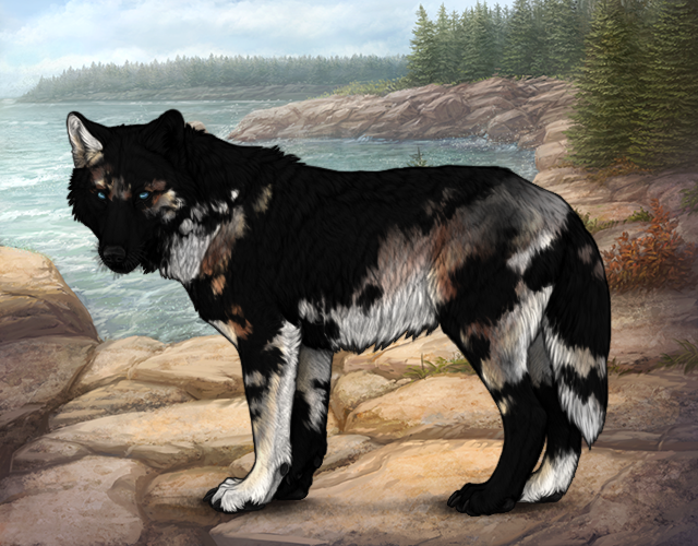 🌊Sea-wolf🌊 [G1 Scout] |:| Wolvden