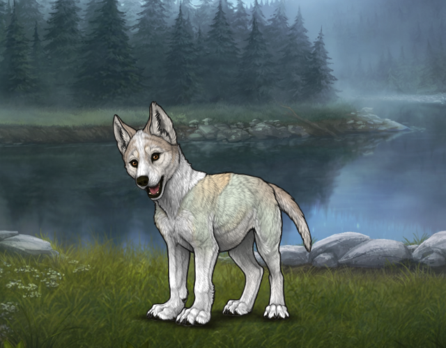 Chased Wolf Spotting - Revamped |:| Wolvden