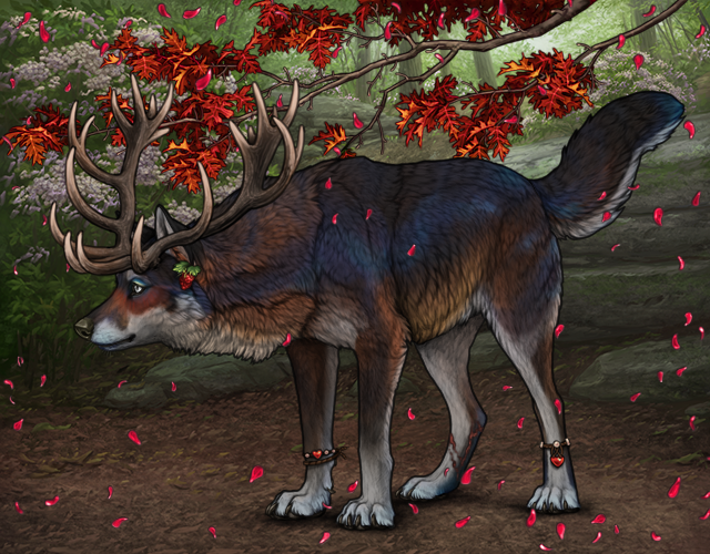 light my life |:| Wolvden