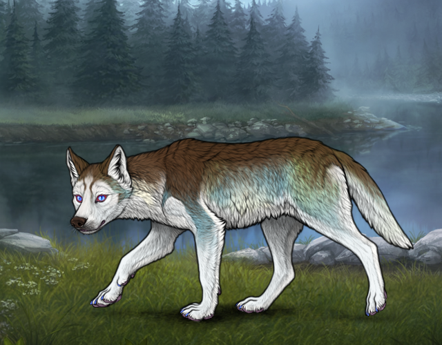 Black G4 |:| Wolvden