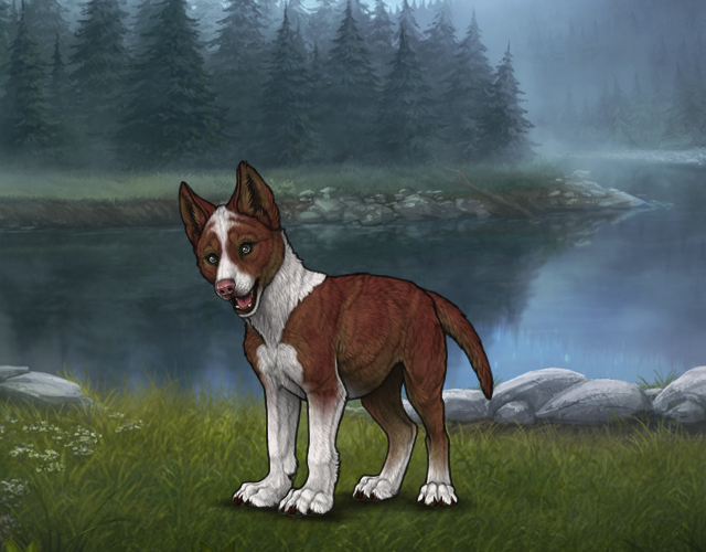 large female, sell |:| Wolvden