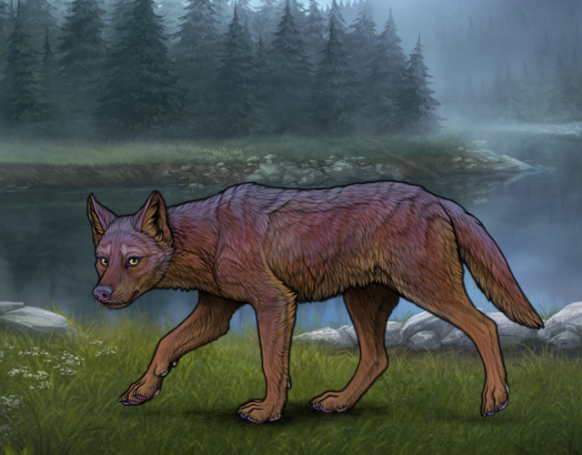 G3 Dravite TII T2 3T3 T7 |:| Wolvden