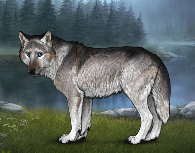 ♥ SC // Tonitrus |:| Wolvden