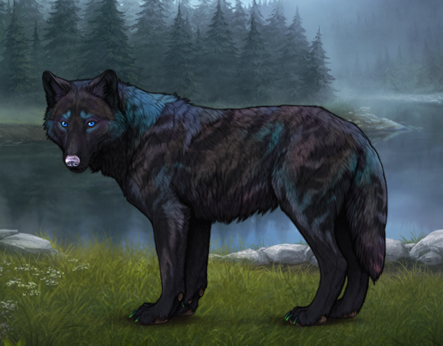 Nova Ocean |:| Wolvden