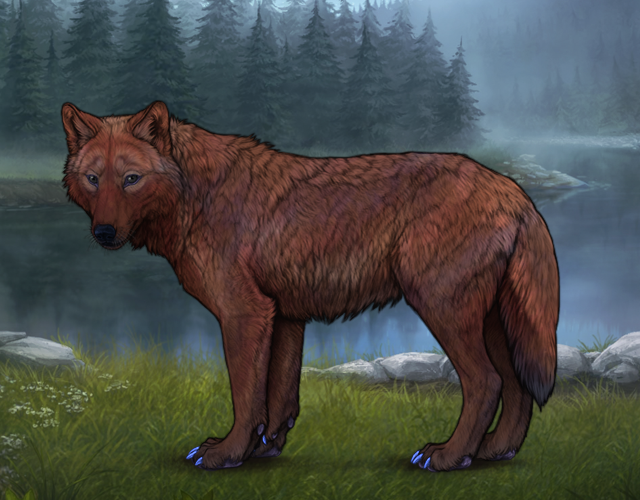 T2 1 merle 450 |:| Wolvden