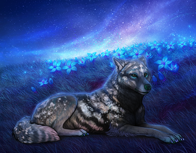 -Lyca- New Losna Stud! G4 | 10M | 600+ Stats |:| Wolvden