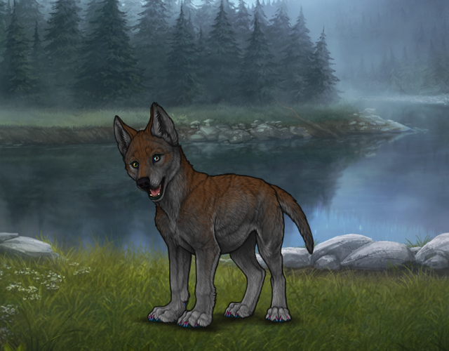 G5 Megalodon M |:| Wolvden