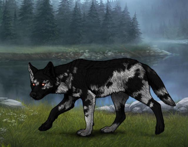 T1 | 3m rhudd mottled |:| Wolvden