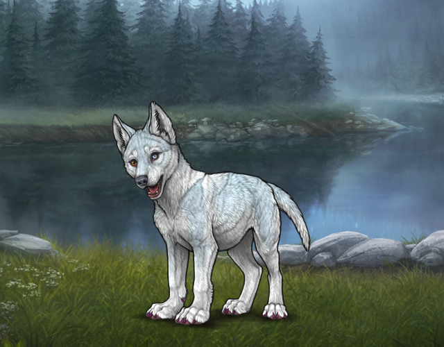 BLS 3Gen |:| Wolvden