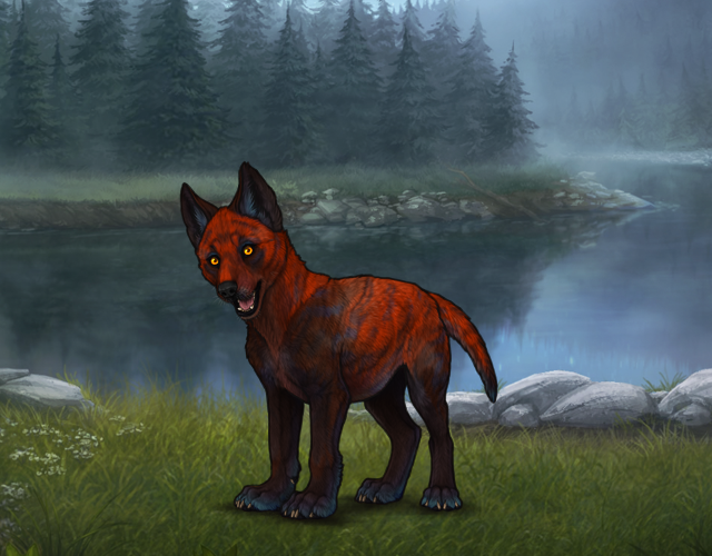 T1 5M DWH WO |:| Wolvden