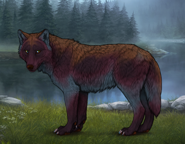 New Puppy |:| Wolvden