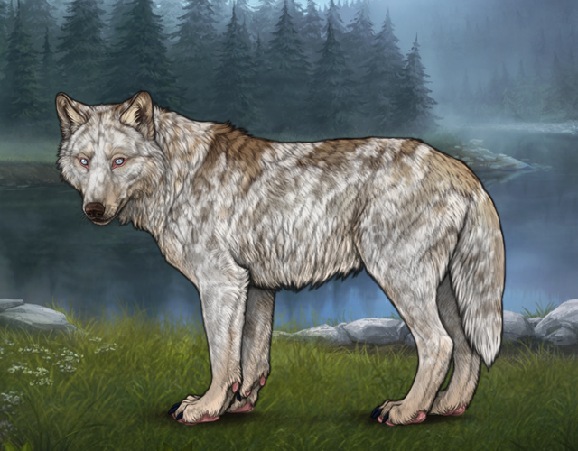 G3 Merle Husky Flint |:| Wolvden