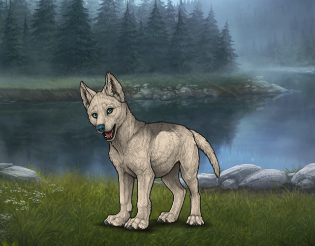 $ Female | T1 | Gray | 4M |:| Wolvden