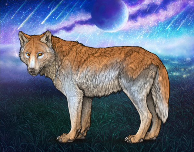 Zorro [G1] |:| Wolvden