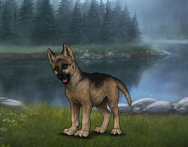 Chased Wolf Spotting - Revamped |:| Wolvden