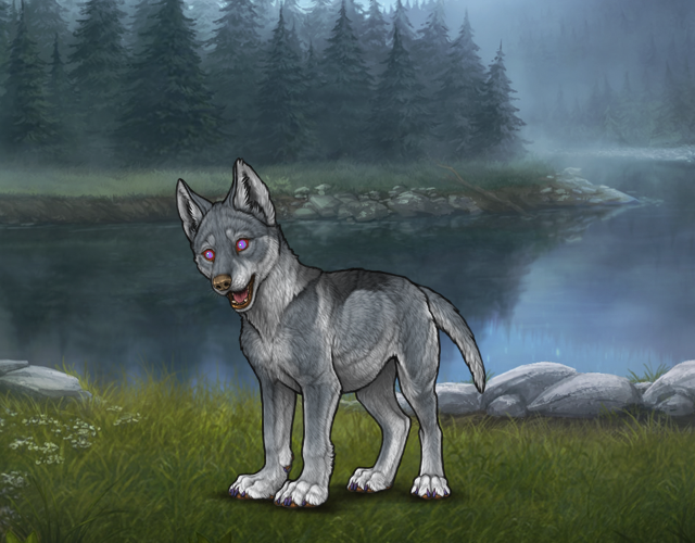 SC Me Slate |:| Wolvden