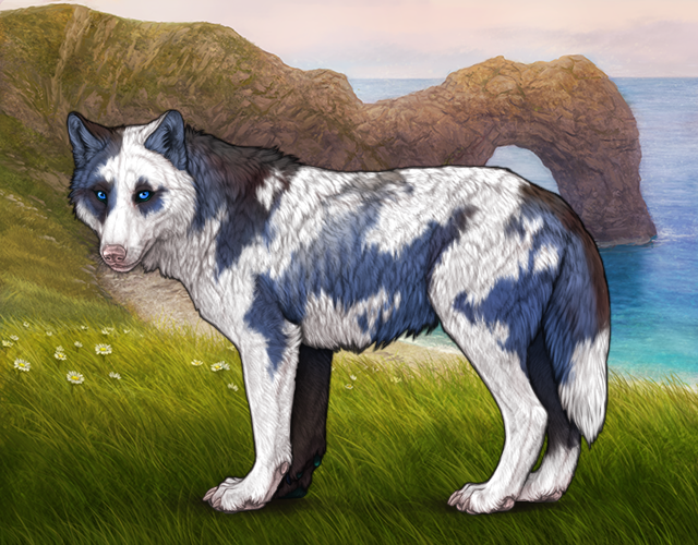 Piebald R&C |:| Wolvden