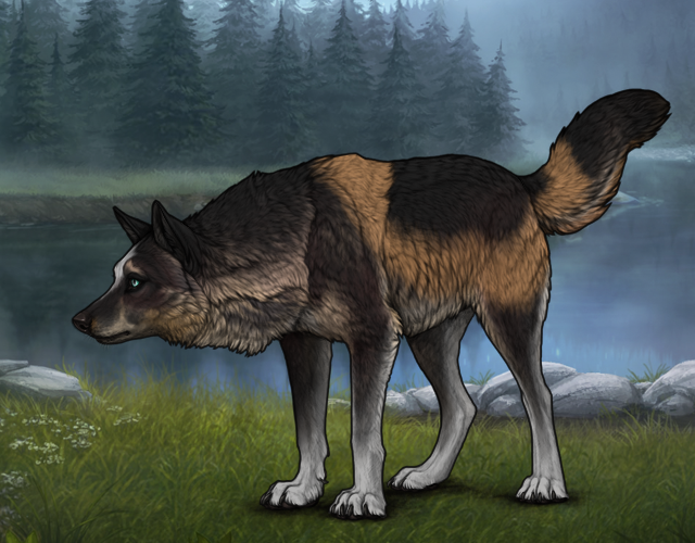 G4 Tempest MINT 7m4BO |:| Wolvden