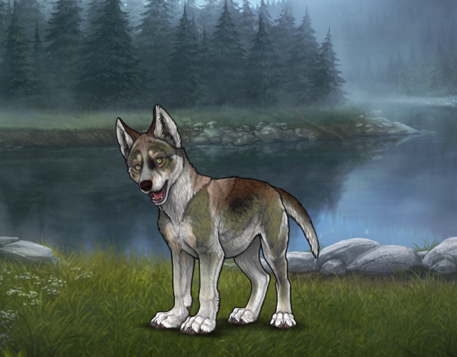 Chased Wolf Spotting - Revamped |:| Wolvden