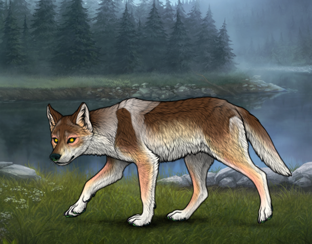 New Befriended Wolf |:| Wolvden