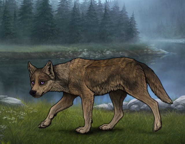 G4 | T2 6m Vio | 2T6 |:| Wolvden