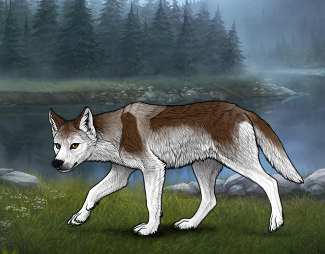 G1 Slate |:| Wolvden