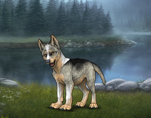 Gen 2 beautiful female |:| Wolvden