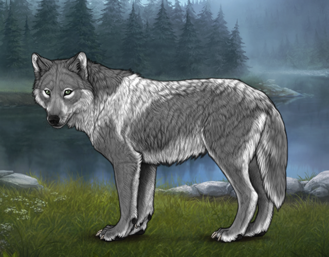 Hesperus |:| Wolvden