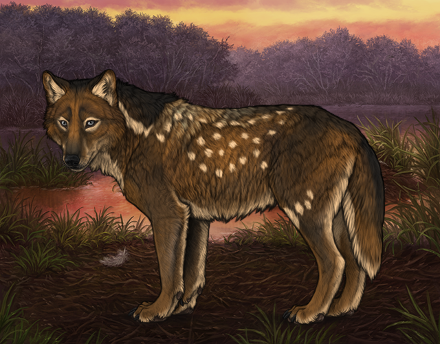 Chased Wolf Spotting - Revamped |:| Wolvden