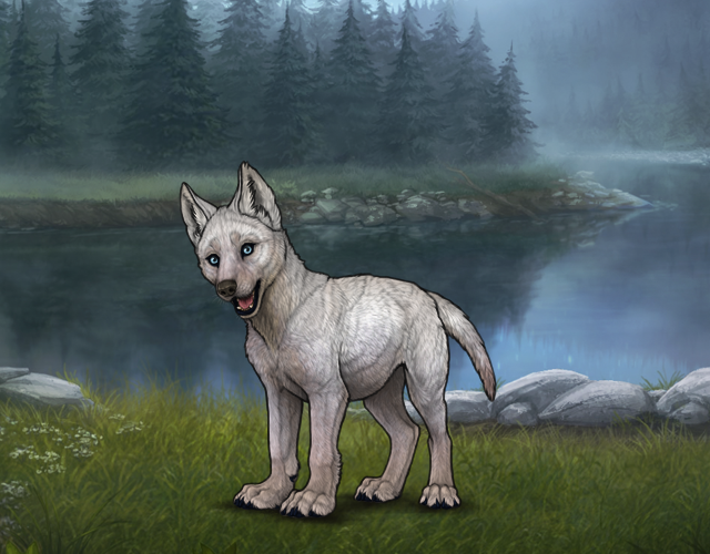 Quartz TI 6m |:| Wolvden