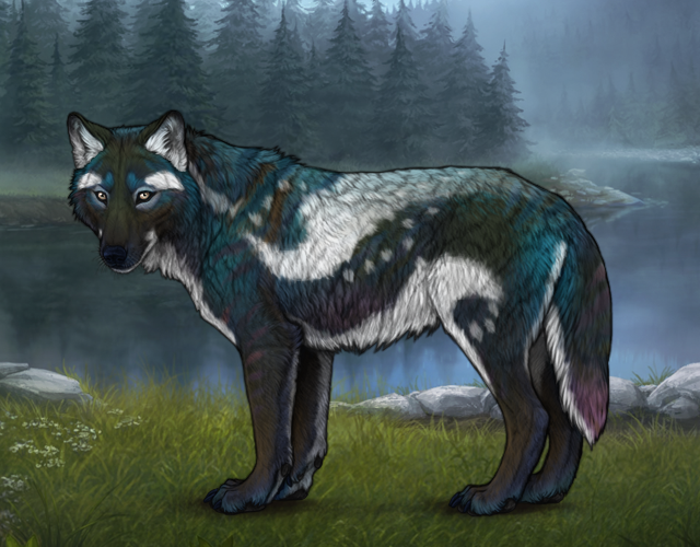 NBW TI 6M |:| Wolvden