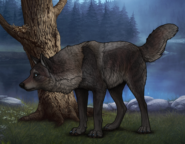 G2 Tempest - keep? |:| Wolvden