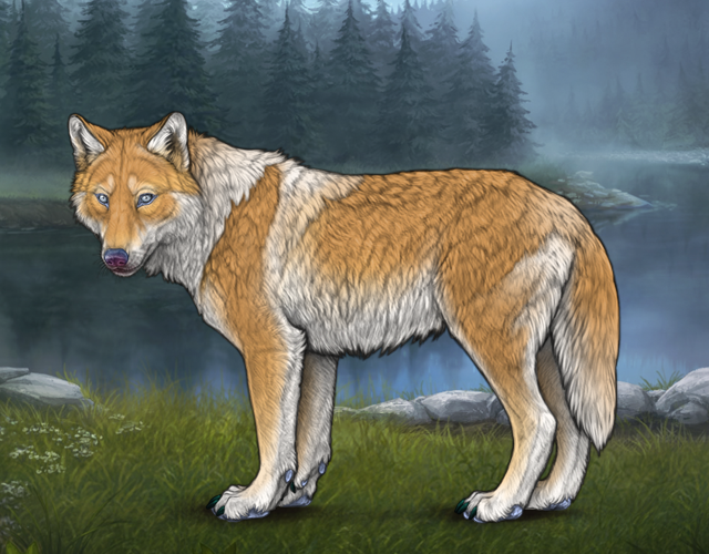 Piebald: Torn |:| Wolvden