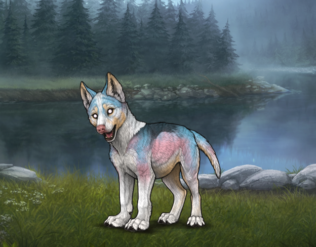 New Puppy |:| Wolvden