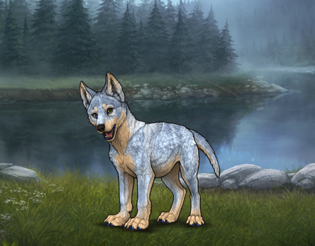 Check for mel |:| Wolvden