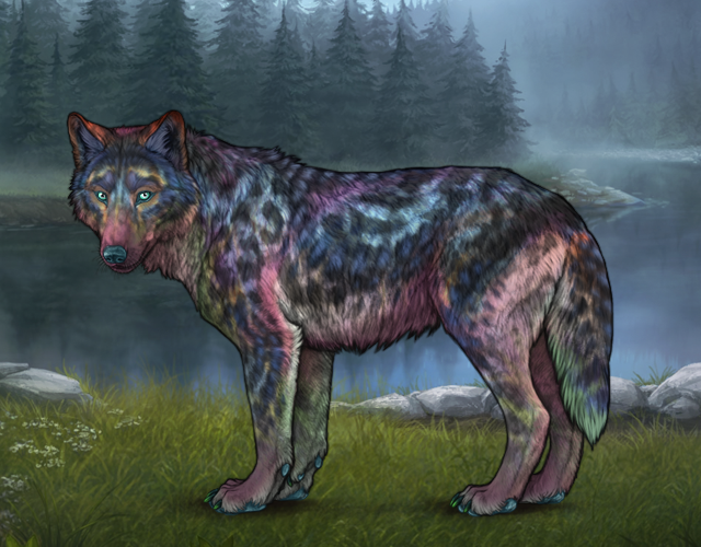 M Tll 8M G2 Mint |:| Wolvden