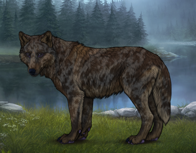 420 4 merle |:| Wolvden