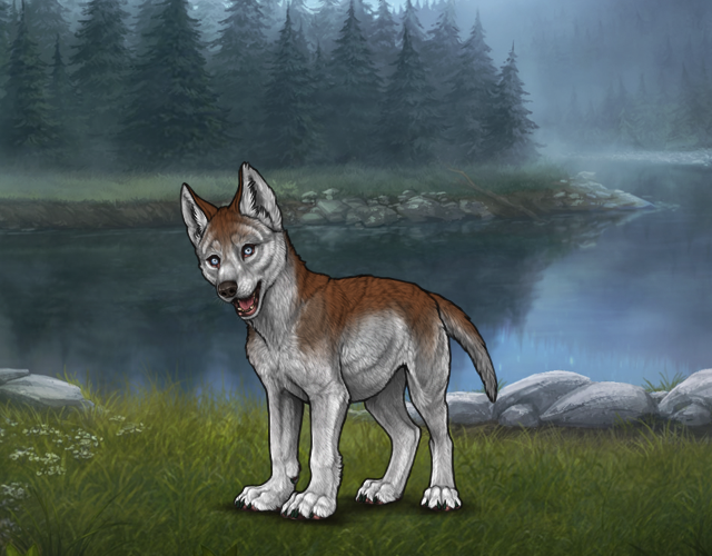 G3 turquoise! |:| Wolvden