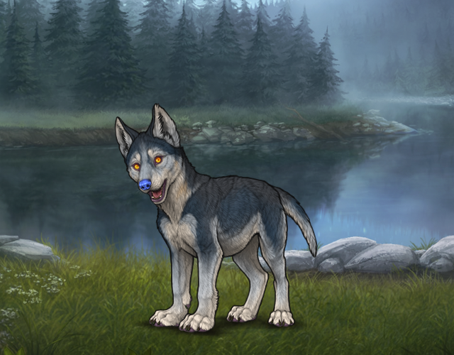 Chased Wolf Spotting - Revamped |:| Wolvden