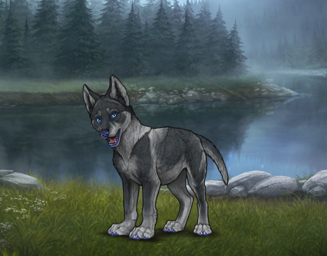 7 markings pup 500 base |:| Wolvden