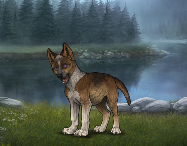 New Puppy x |:| Wolvden