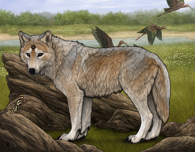 Bartimaeus [Mel Carrier] |:| Wolvden