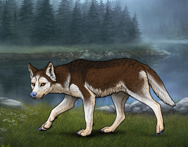 Enclave G2 |:| Wolvden