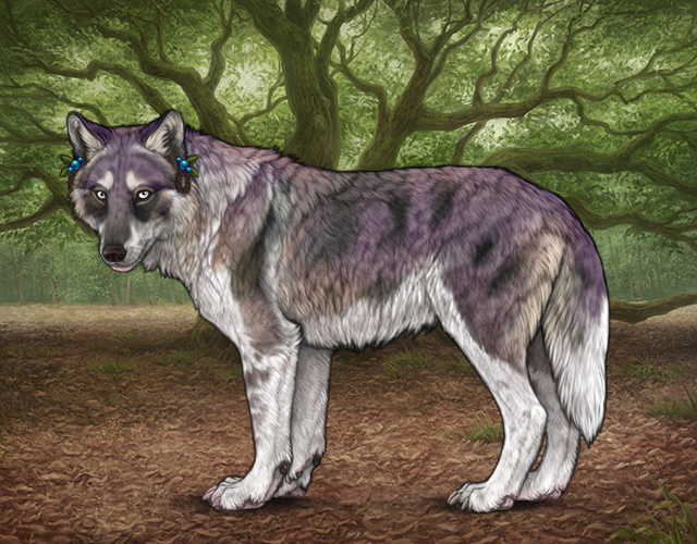 Piebald: Zerdava |:| Wolvden