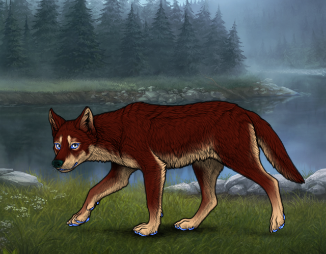 Merc leoshrk |:| Wolvden