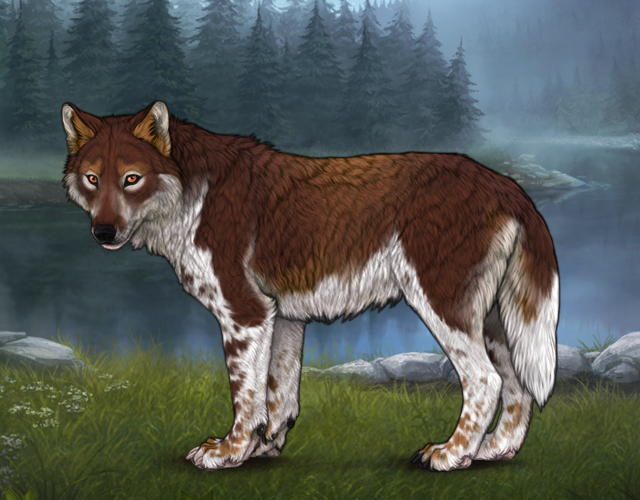 Zerdava! M Liver 3M. 244s |:| Wolvden