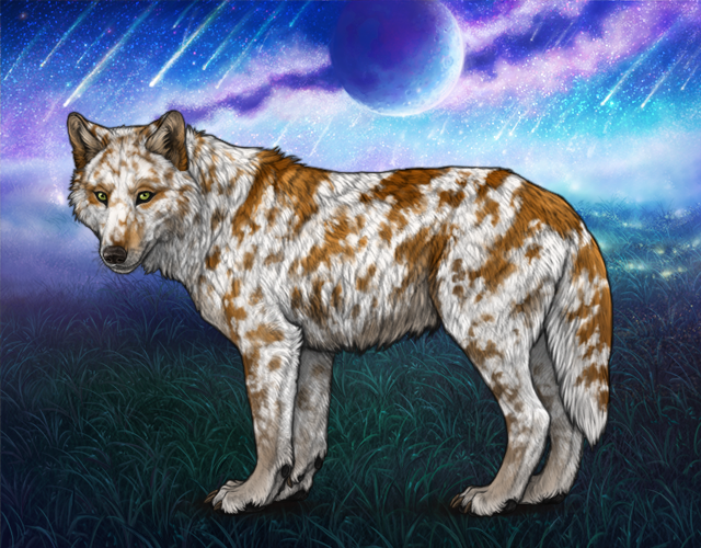 𝔓𝔞𝔱𝔠𝔥𝔢𝔰 |:| Wolvden