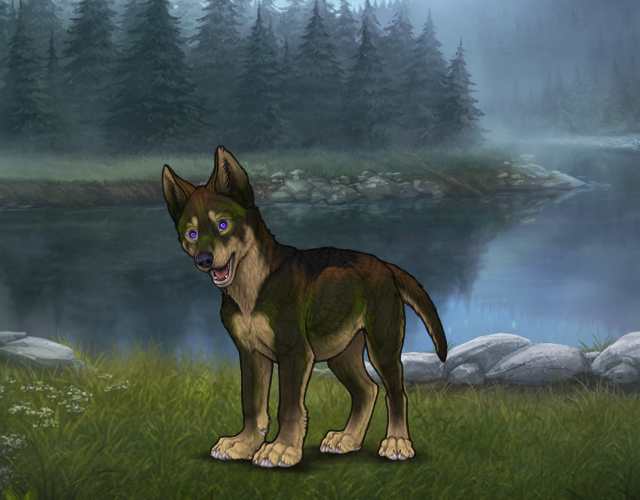 6m serene eyes |:| Wolvden