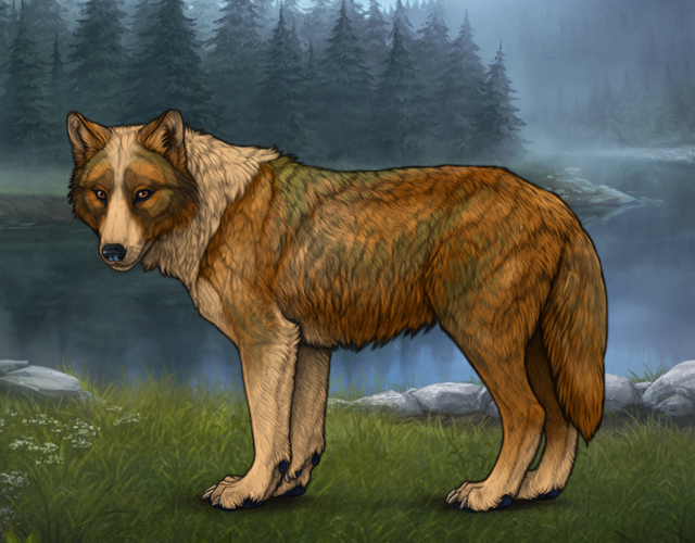 gross moldy dog |:| Wolvden